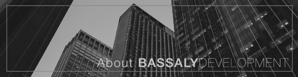 About - Bassaly Development